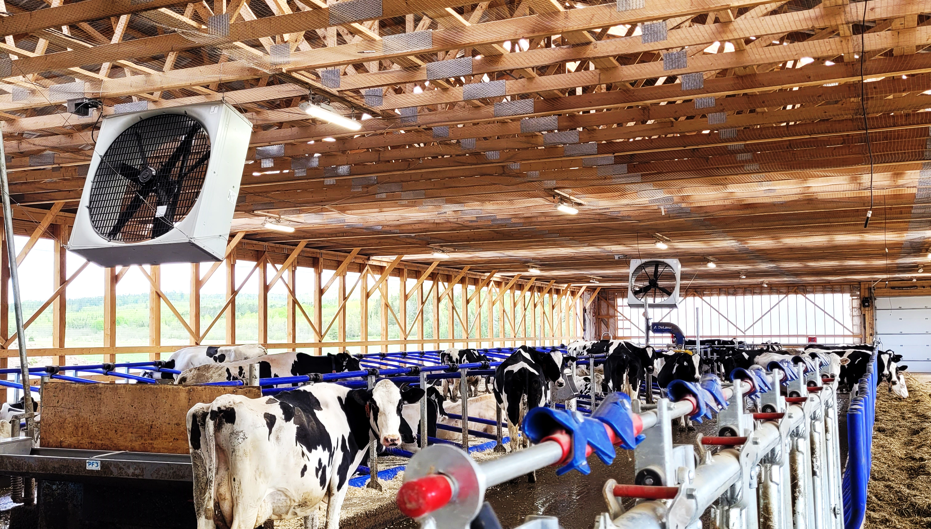 BF 50 SuperFlow stir fan by SKOV-SECCO