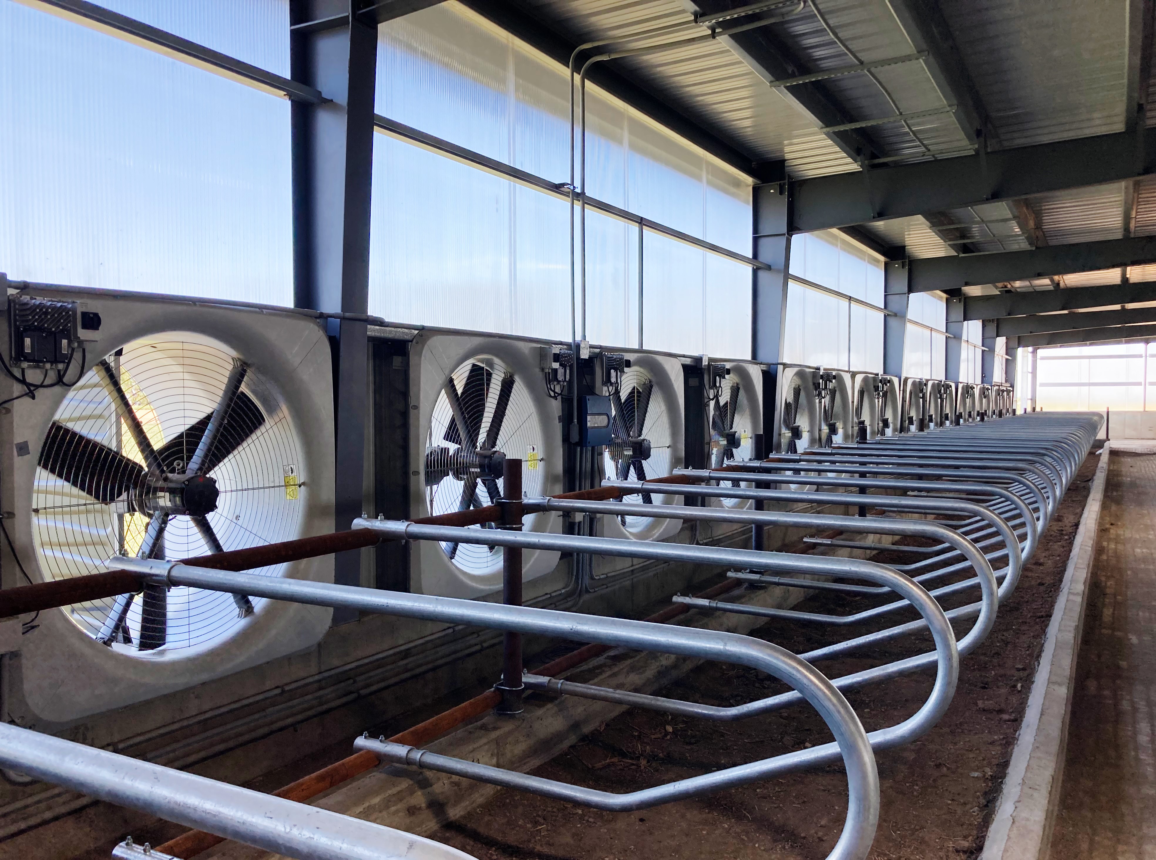 BlueFan BF 55 wall fan