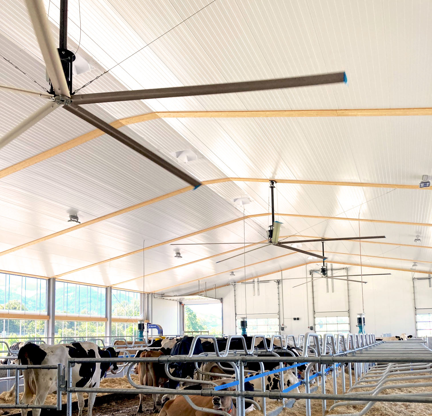 Big Air PÜRe ceiling fan by SKOV-SECCO